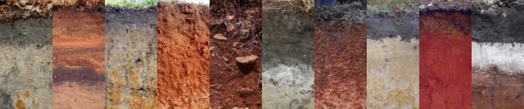 Colby Digs Soil – Down-to-earth soil science
