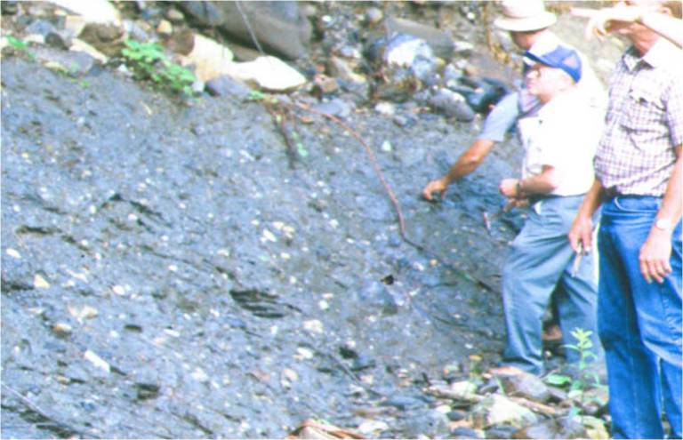 Sizing Up Soil Structure – Colby Digs Soil