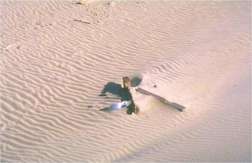 Sizing Up Soil Structure – Colby Digs Soil