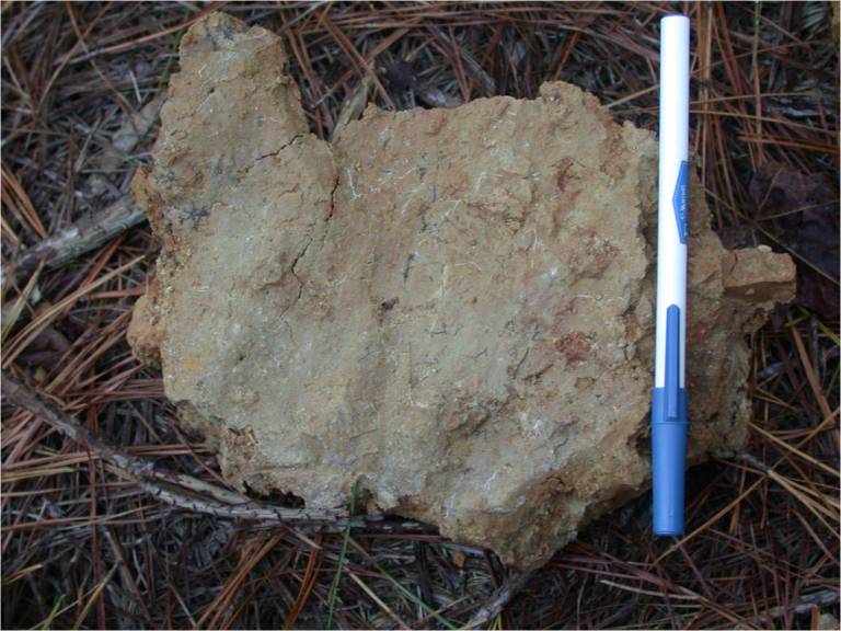 Sizing Up Soil Structure – Colby Digs Soil