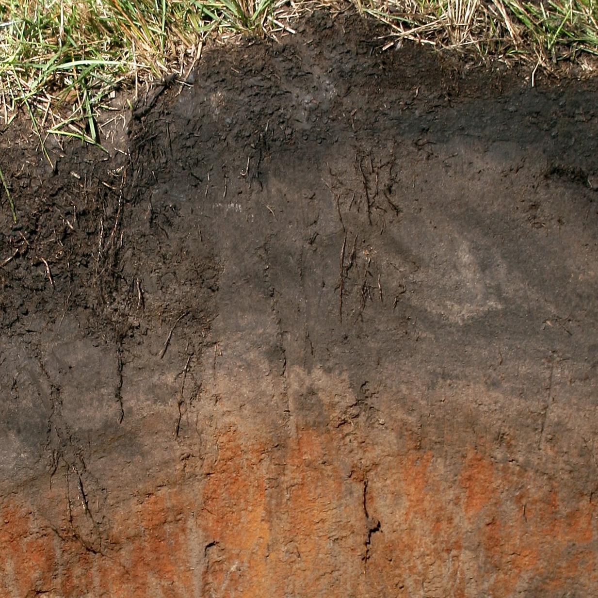 Colby Digs Soil – Down-to-earth soil science